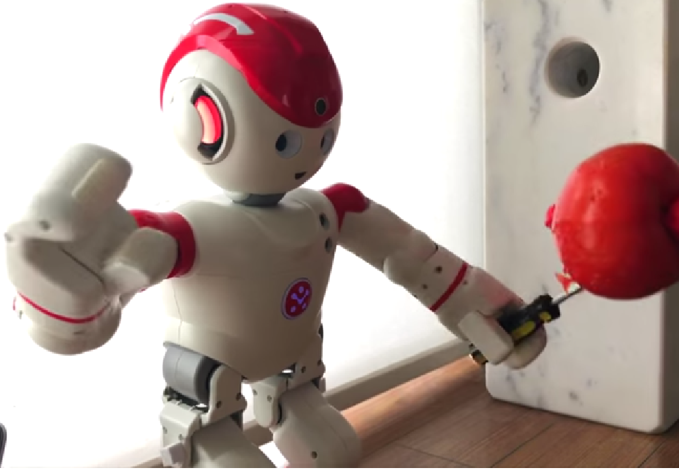 (Vidéo) Des hackers transforment des robots pour enfants en machines à ...