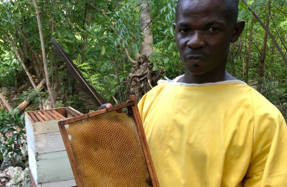 TEMOIGNAGE – Le goût sucré de l’apiculture moderne à Bonbon, en Haïti ...